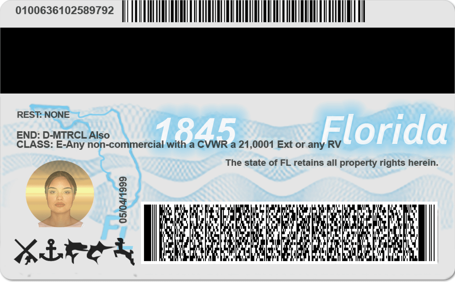 Florida Driver’s License Template – IdTemplate.to