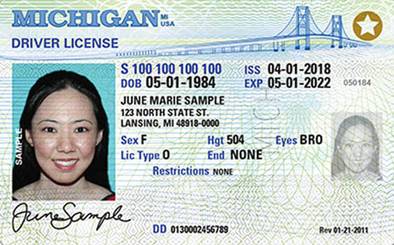 Michigan Driver’s License – IdTemplate.to