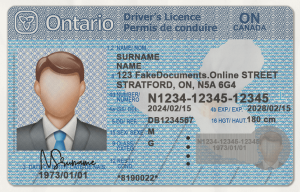 Ontario Driver’s License – IdTemplate.to